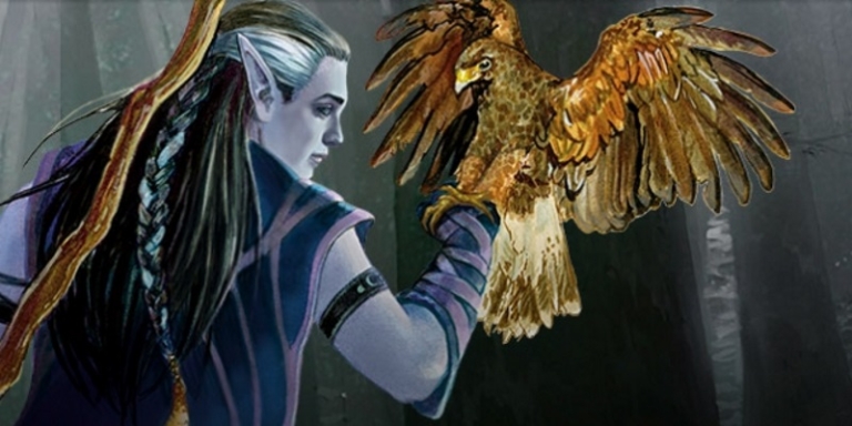 Unearthed Arcana: Druid Circles and Wild Shape Breakdown - Tribality