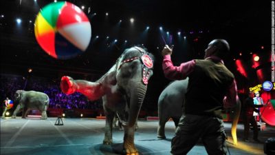 How to run a Circus in Your Game - Tribality