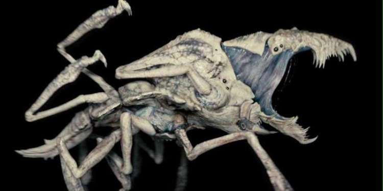 Godzilla, Cloverfield, and fighting Kaiju